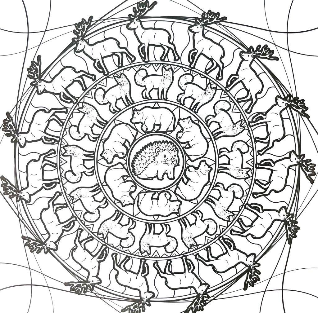 Bojanka mandala – Čudesna priroda - Naša Djeca